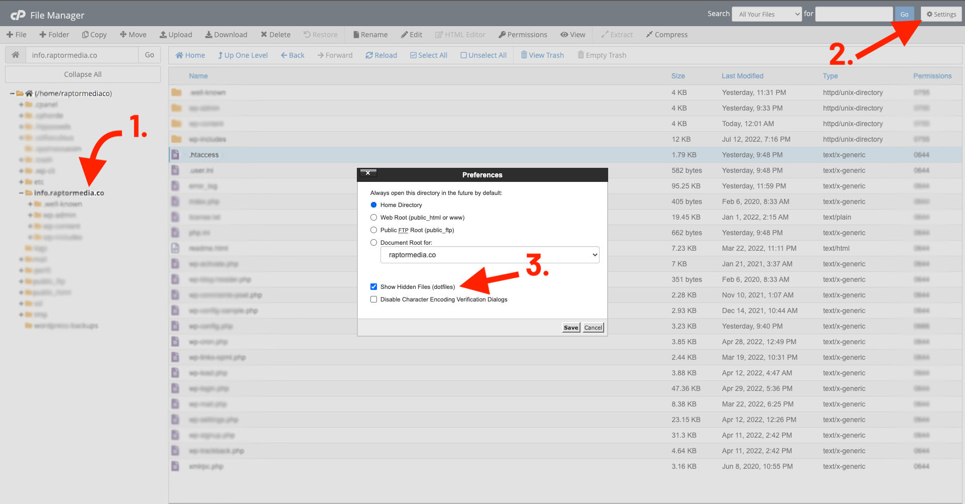 Create a Subdomain - Raptor Media | Info